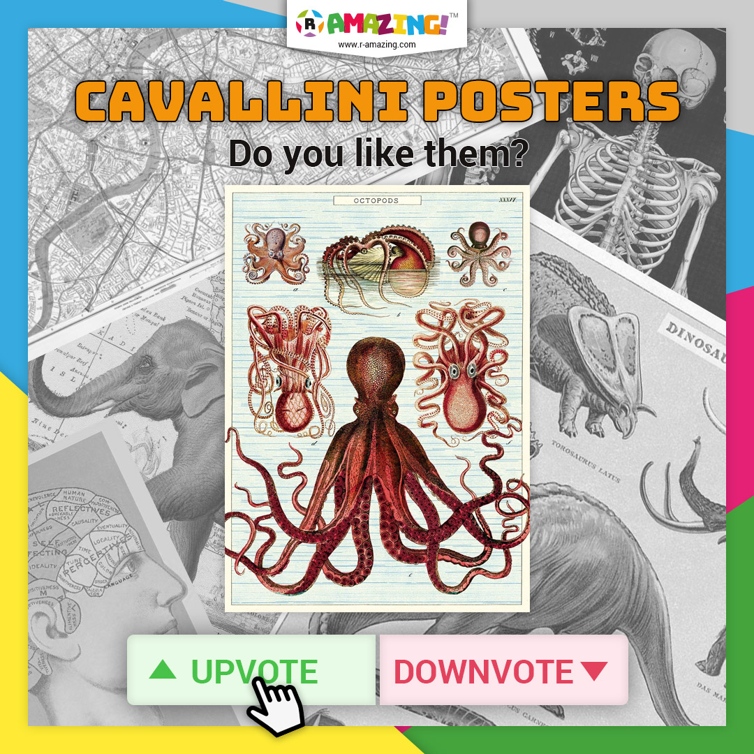 Cavallini Posters - R Amazing!