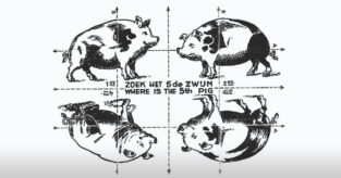 Pig Optical illusions - R Amazing!