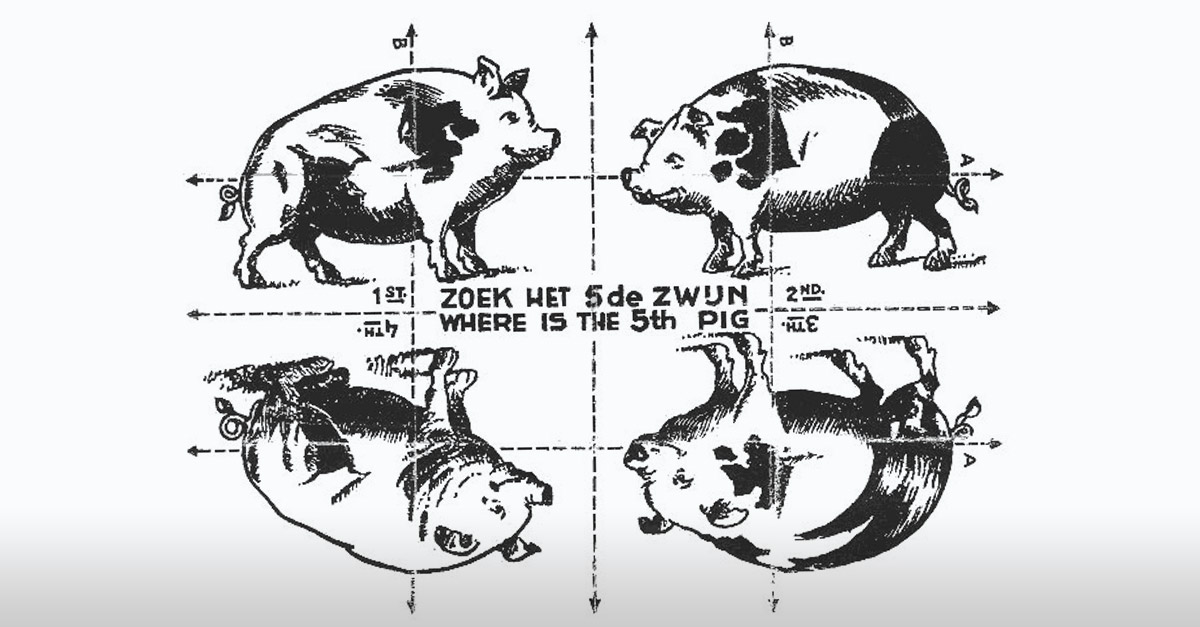 Pig Optical illusions - R Amazing!