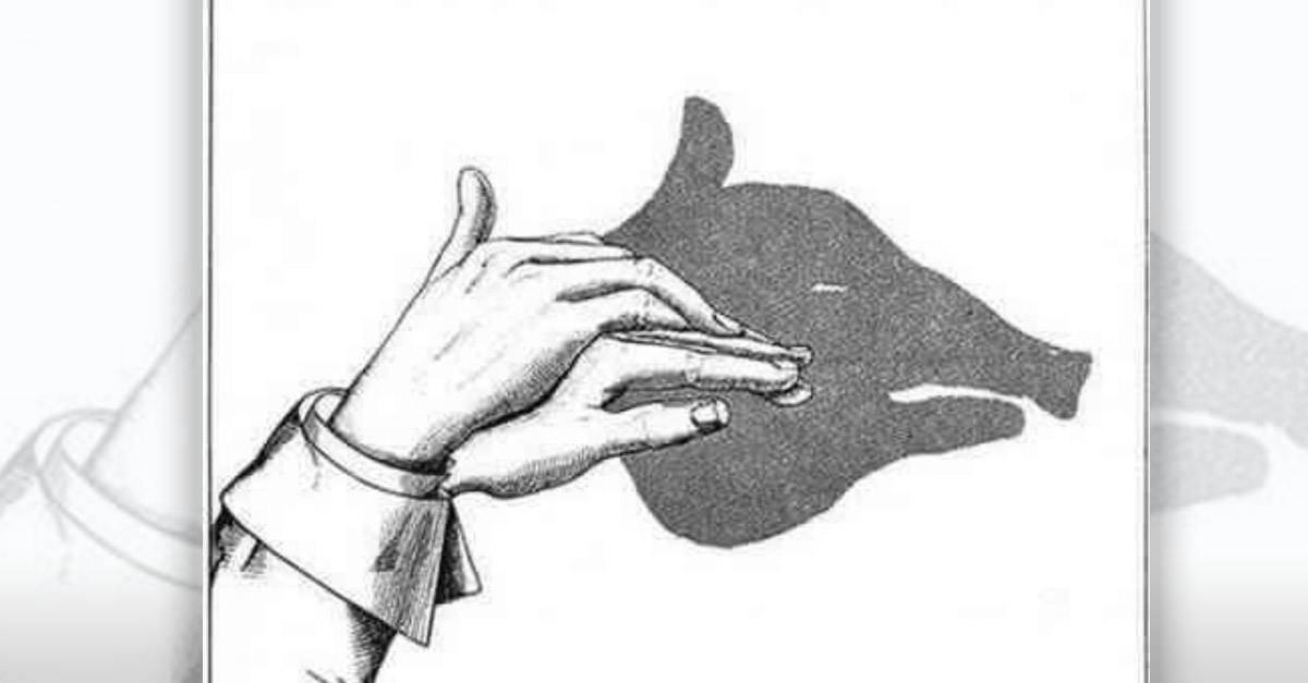 Pig Optical illusions - R Amazing!