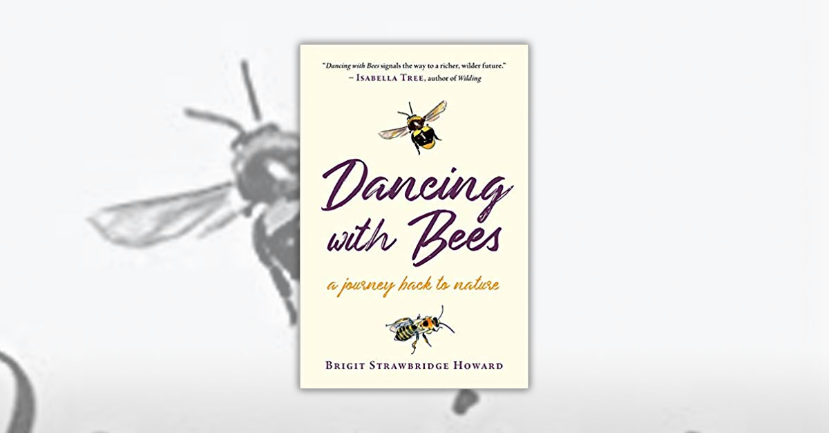Books about Bees - R Amazing!