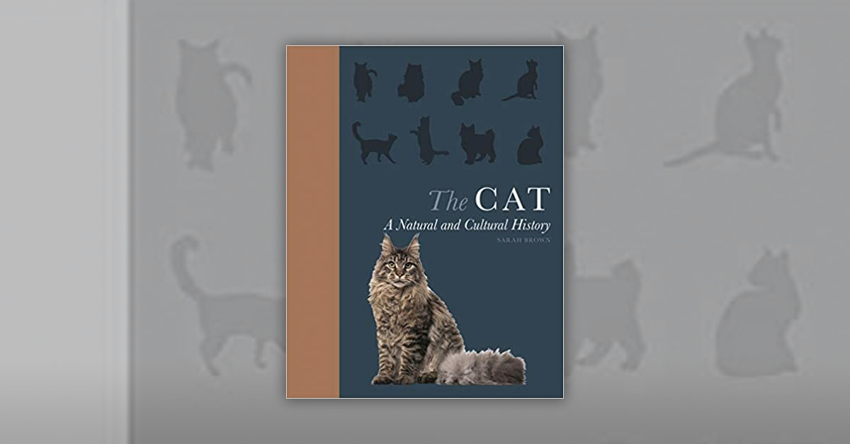 Books About Cats – R Amazing