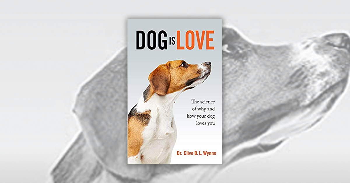 Books About Dogs - R Amazing!