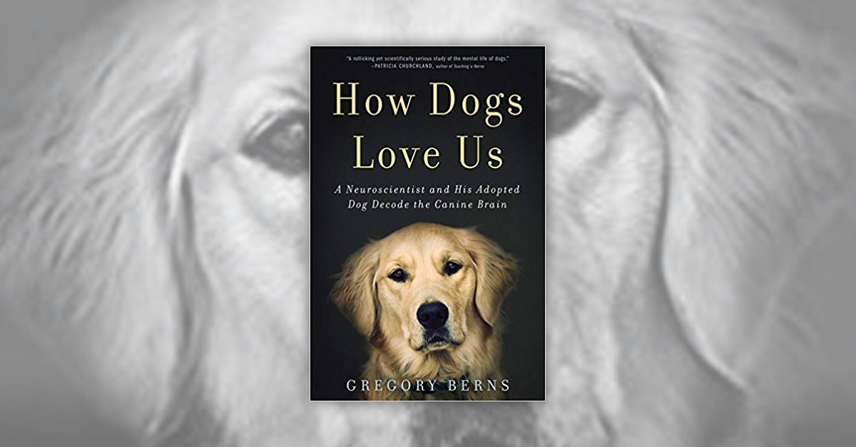 Books About Dogs - R Amazing!