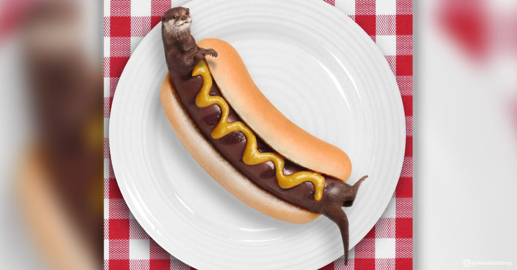 Animal in things - R Amazing!