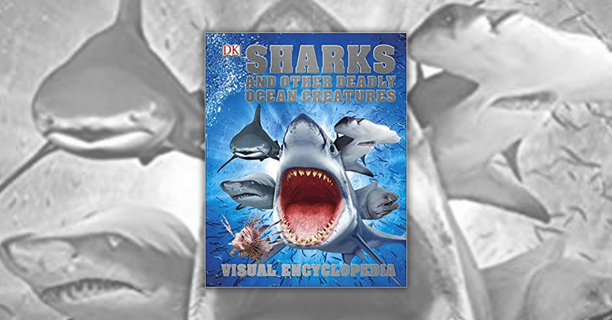 Books about Sharks - R Amazing!
