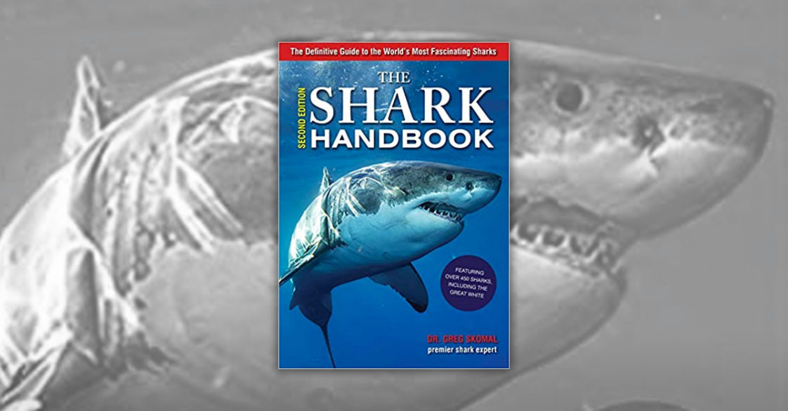 Books about Sharks - R Amazing!