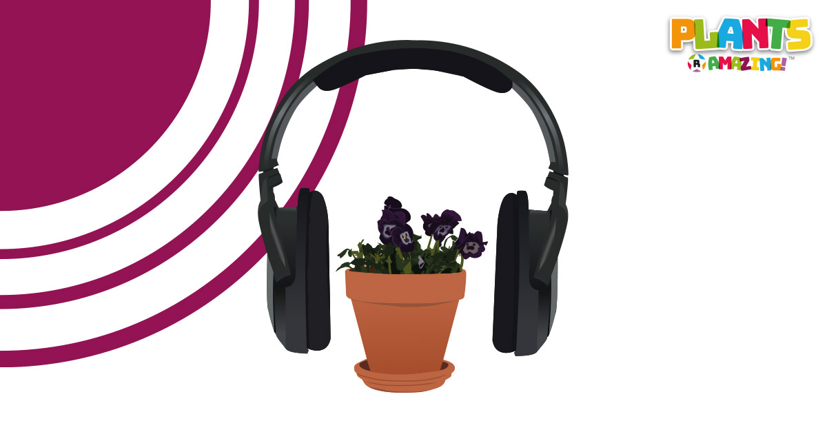 Can plants hear? – R Amazing