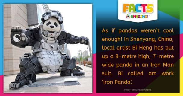 Iron Panda - R Amazing!